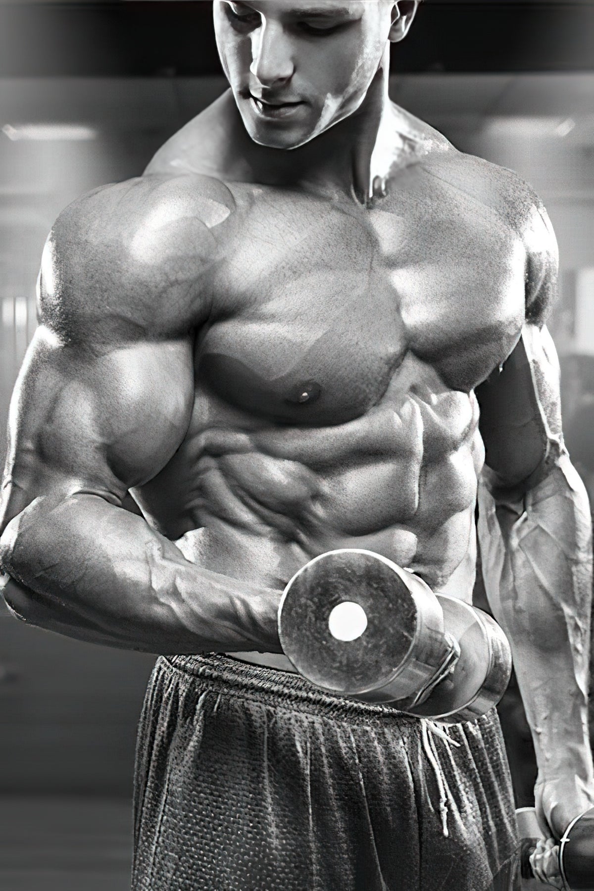 Der Aufbau eines Bizeps Peaks