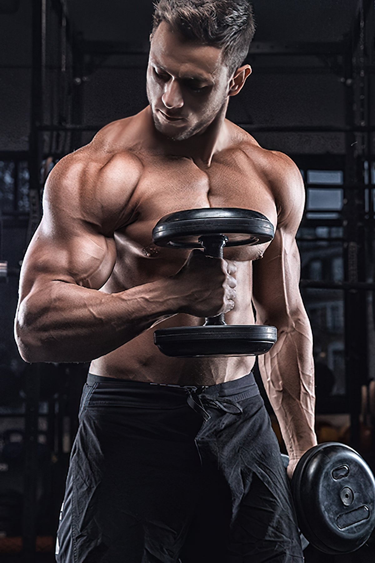 Bodybuilding F r Kraftsportler Gigas Nutrition bodybuilding-f-r-kraftsportler-gigas-nutrition